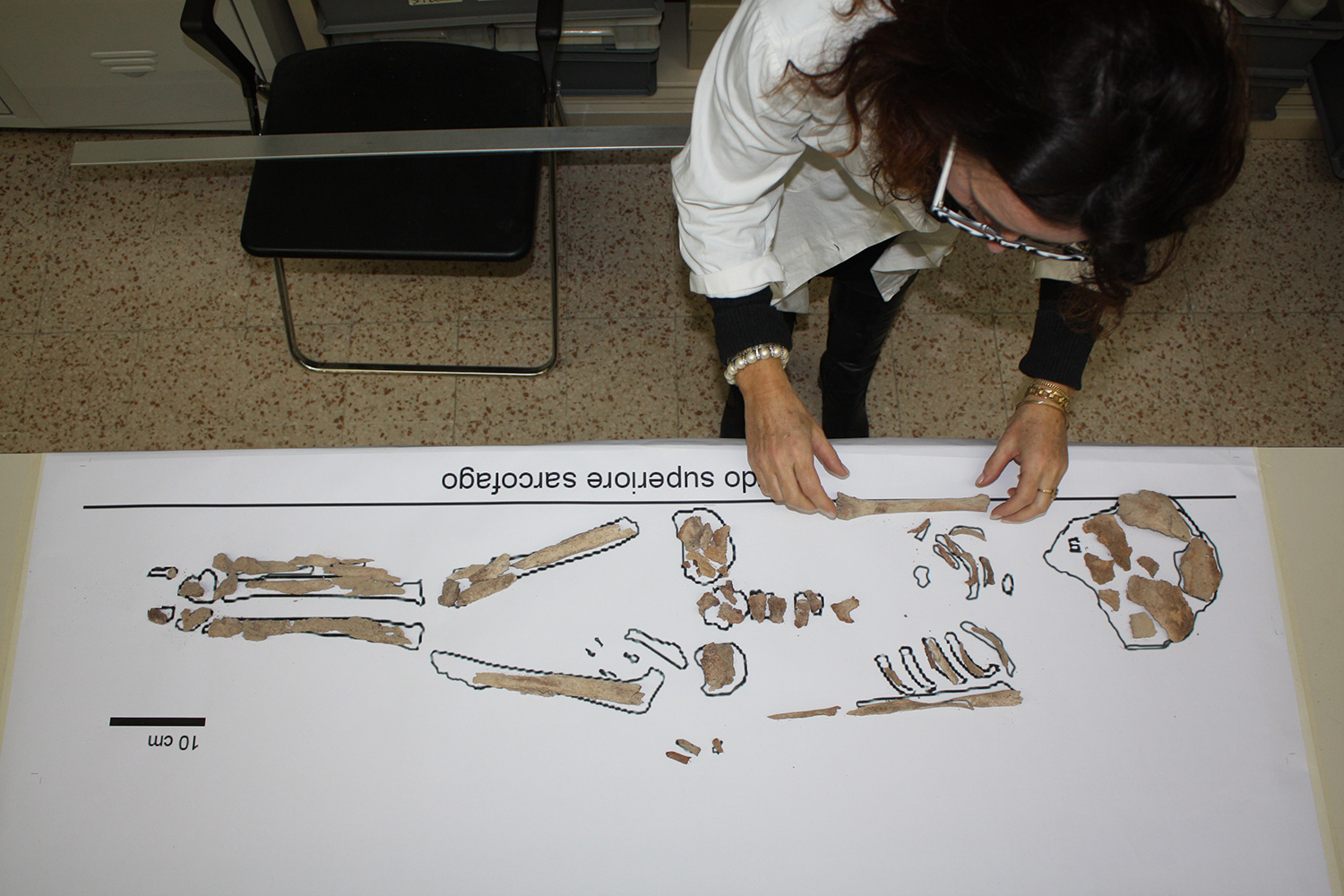 "Gli scheletri negli armadi", lezione di antropologia per famiglie in vista di Halloween - "Gli ...